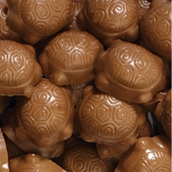 Milk Caramel Turtles - Shaped Pieces – Eventful Sweets